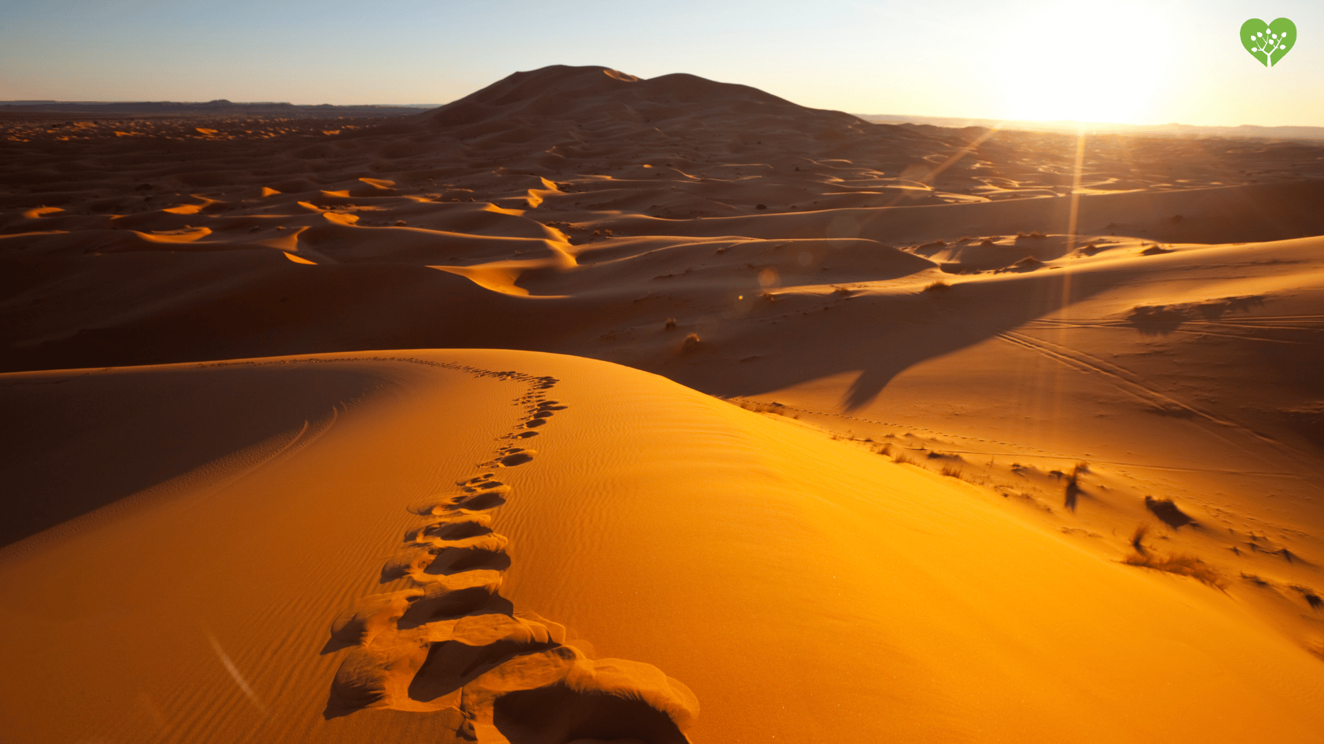 Sahara Desert Trek - Cransley Hospice Trust